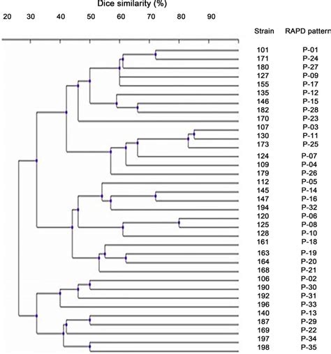 Dendrogram Generated By The Dice Coefficient And Clustering By
