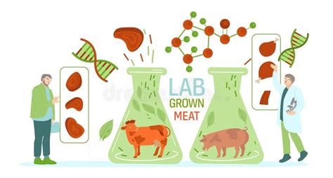 Lab Grown Meat Vector Stock Illustrations 325 Lab Grown Meat Vector Stock Illustrations