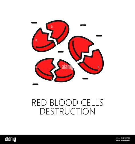 Hematology Anemia Disease Symptom Color Line Icon Cardiology Test Hematology Medicine