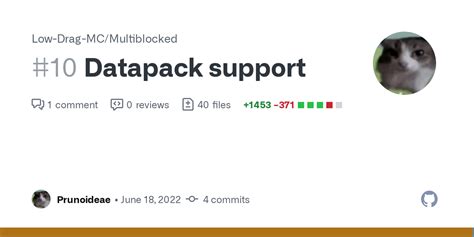Datapack Support By Prunoideae Pull Request 10 Low Drag MC