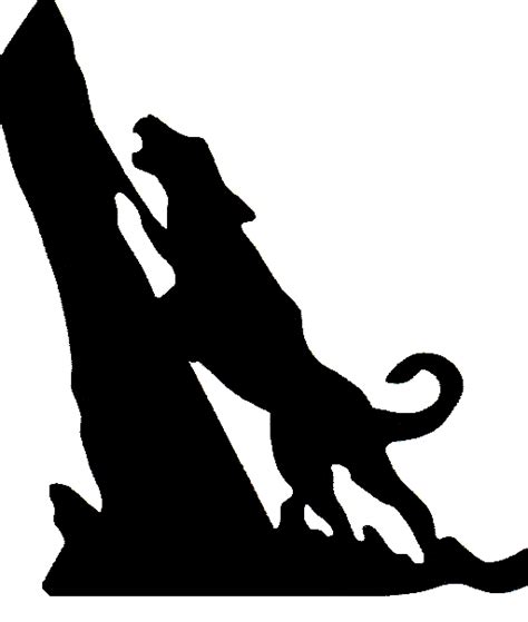 Central Illinois Fox And Coon Hunters Association Pana Il