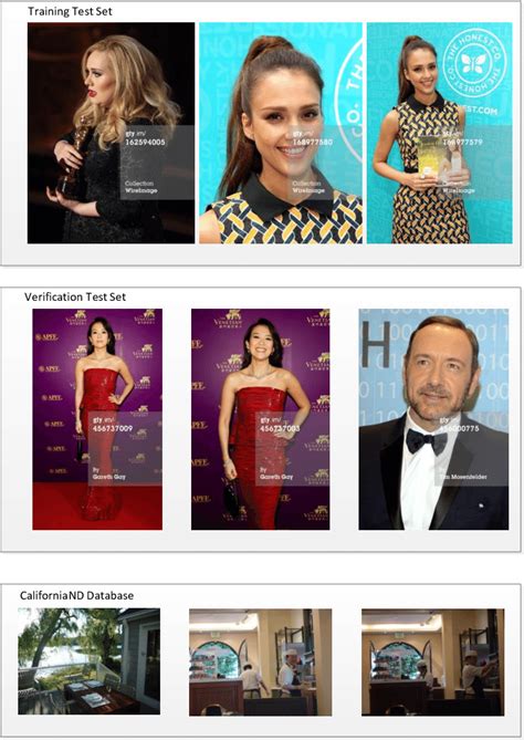 Databases Used For Training And Testing The Algorithm Download Scientific Diagram