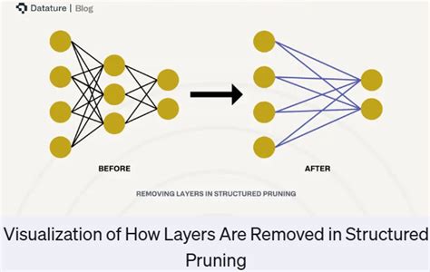 深度学习中的模型剪枝深度学习剪枝是什么意思 Csdn博客 深度学习中的模型剪枝深度学习剪枝是什么意思 Csdn博客