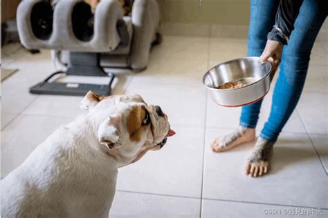 Inpaint Anything （ai替换） Csdn博客