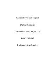 Lab Report Cranial Nerve V Docx Cranial Nerve Lab Report Darline Clerizier Lab Partner