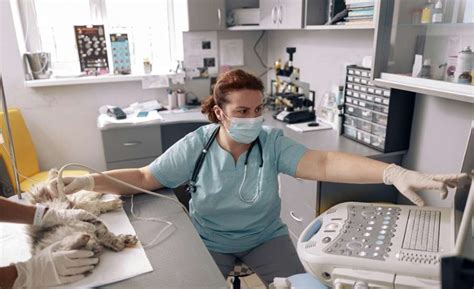 Basic Echocardiography And Applications In The Daily General Practice Vetscentral Library