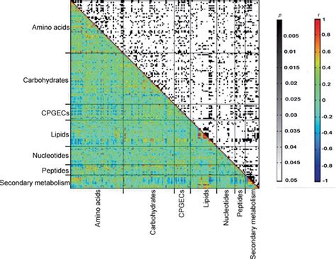 Metabolite Metabolite Correlation Analysis X And Y Axes Are The Same Download Scientific