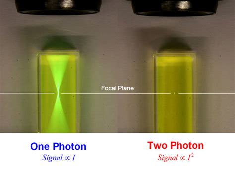 6 Single Photon Excitation Vs Two Photon Image By Xu Research Group