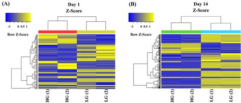 Hierarchical Clustering Heat Map Hierarchical Cluster Analysis