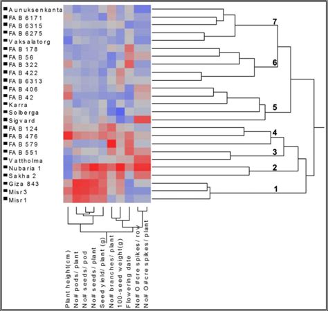 Two Way Hierarchical Cluster Analysis Of 25 Faba Bean Genotypes And Ten