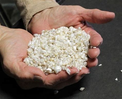 Морской и речной жемчуг, отличия, разновидности «Прима Эксклюзив»