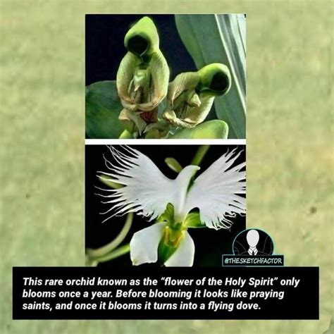 50 Disturbing And Morbid Facts That Might Freak Artofit