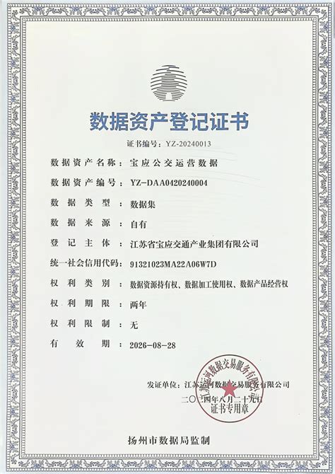 刚刚，宝应首张数据资产登记证书落地 要素 数字化 投资集团
