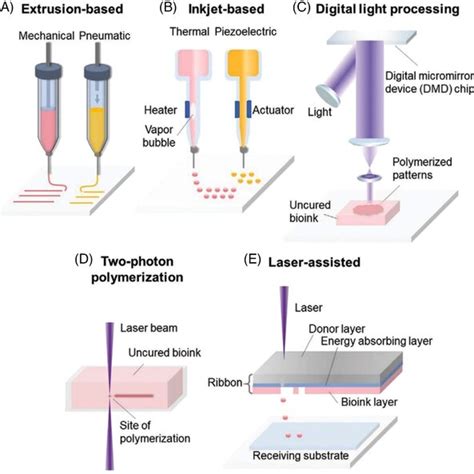 Schematic Illustrations Of Common 3d Bioprinting Strategies A Download Scientific Diagram