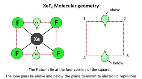 Xef4 Lewis Structure Molecular Geometry Bond Angle Shape