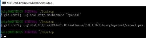 Solve The Ssltls Connection Failed Problem Of Devtoolsinstallgithub