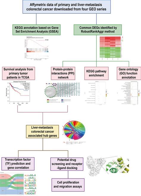 Identification Of Hub Genes Related To Liver Metastasis Of Colorectal