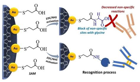 Development Of Folate Group Impedimetric Biosensor Based On Polypyrrole