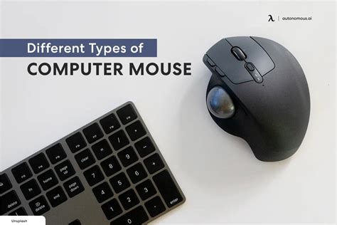 Different Types Of Mice Which One Fits You