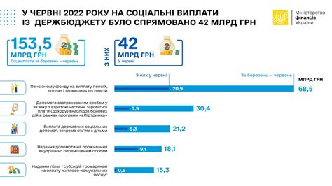 Мінфін назвав суми бюджетних соцвиплат з початку війни на що пішло найбільше Шиповник