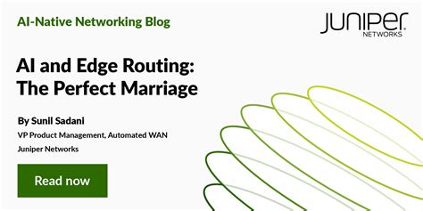 Ai And Edge Routing The Perfect Marriage Hpe Juniper Networking Blogs