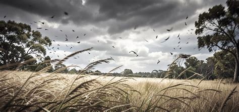Strong Wind Blowing Sound Effect Powerful Gust Audio