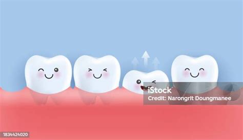 잇몸에서 자라는 치아와 다른 치아가 웃고 있습니다 어린이를 위한 치아 어린이 병원을 위한 치과 및 치과 개념 건강한 치아 캐릭터 귀여운 깨끗한 만화 아이콘입니다 벡터 디자인