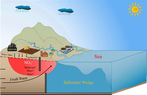 A Schematic Diagram Of Saltwater Intrusion And Nitrate Contamination In Download Scientific
