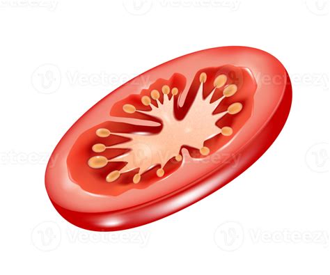 Tomato Slice Pngs For Free Download