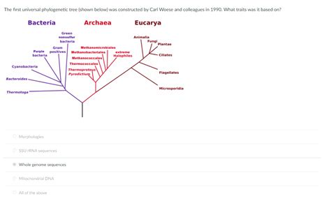 Solved The First Universal Phylogenetic Tree Shown Below