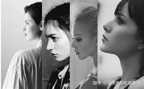 鼻部美学设计分享 知乎