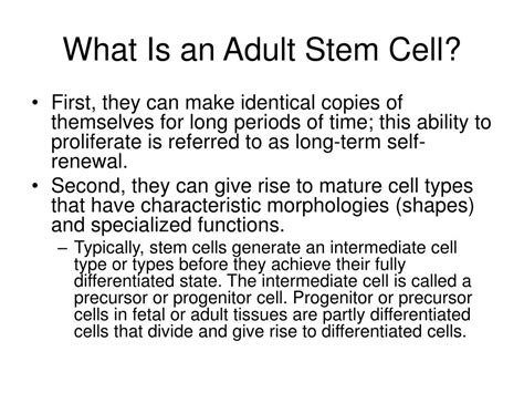 Ppt Stem Cell Basics Powerpoint Presentation Free Download Id2973339