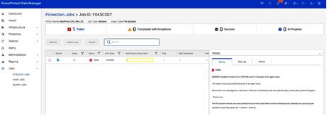 PowerProtect Data Manager PPDM Mount Failure On Windows Server Using 19 12 Dell US