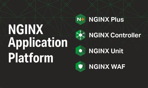 Nginx Is Going To Launch It S Own Application Platform Hugeserver Blog