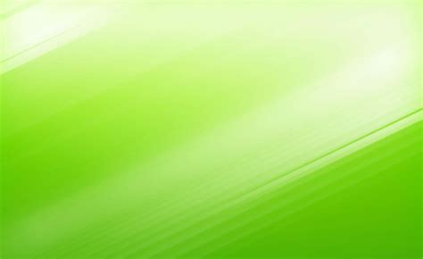 Download Brightly Colored Hijau Forest Background