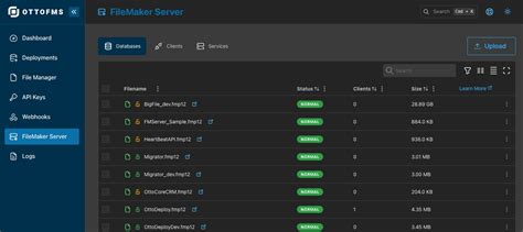 Filemaker Databases Ottofms