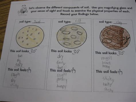 Third Grade Thinkers Types Of Soil Investigation And Printable