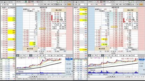 신성델타테크서남 실전매매 영상 짝궁매매 호가창 복기24 02 21 Youtube