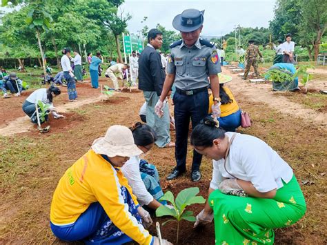 မိုင်းရှူးမြို့တွင် ၂၀၂၄ ခုနှစ်၊ မိုးရာသီ လူထုစုပေါင်းသစ်ပင်စိုက်ပျိုးပွဲတော် ကျင်းပ
