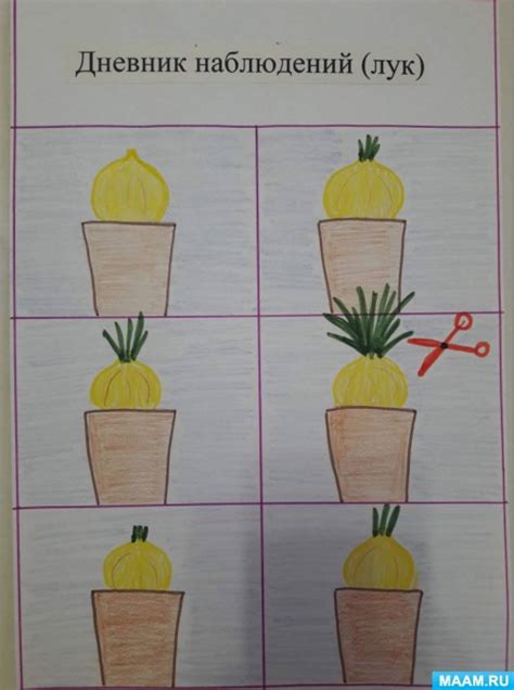Дневники наблюдений 6 фото Воспитателям детских садов школьным учителям и педагогам Маам ру
