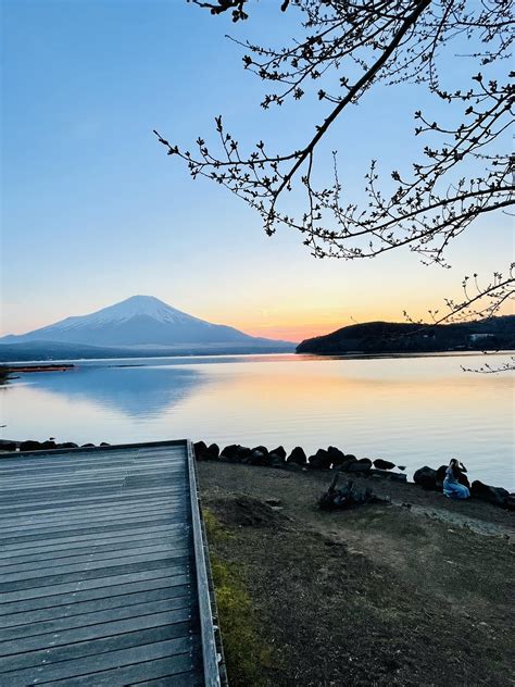 🇯🇵🗻 ญี่ปุ่น ฟูจิซัง セイand ดอกไม้กับชนบทญี่ปุ่น