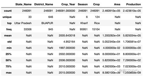 【python】pandas Profiling 生成报告并部署的一站式解决方案 Csdn博客