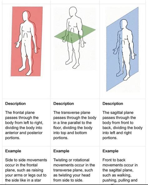 Electrical Stimulation Its Role In Upper Limb Recovery Post Stroke Artofit