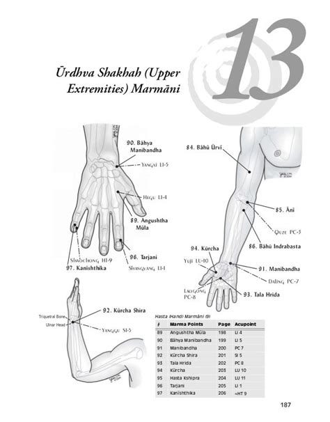 Marma Points Of Ayurveda Vasant Lad09673 1