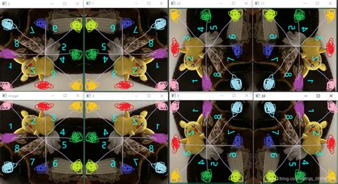 Opencv图像镜像，转置达成图像旋转效果python代码 知乎