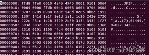 二进制与ascii编码 图片的二进制数据为什么不能用ascii值来表示 csdn博客