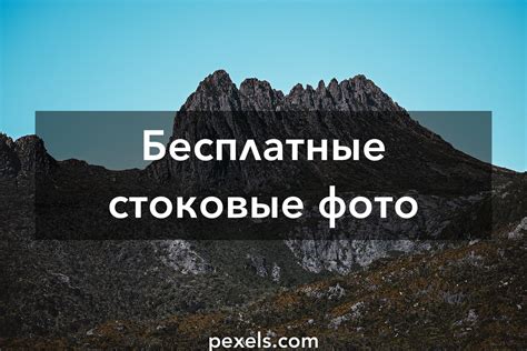 Лучшие фото по запросу «natue 바탕 화면 · Скачивайте совершенно бесплатно · Стоковые фото Pexels