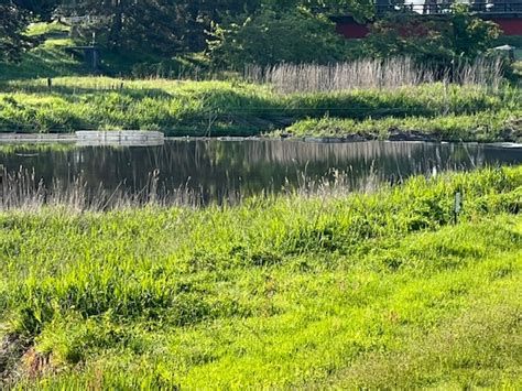 琵琶湖のこあゆ 釣れ方が例年(平成)の頃に 春瀬工藝 小鮎釣り アウトドア 琵琶湖のこあゆ 釣れ方が例年(平成)の頃に 春瀬工藝 小鮎釣り アウトドア