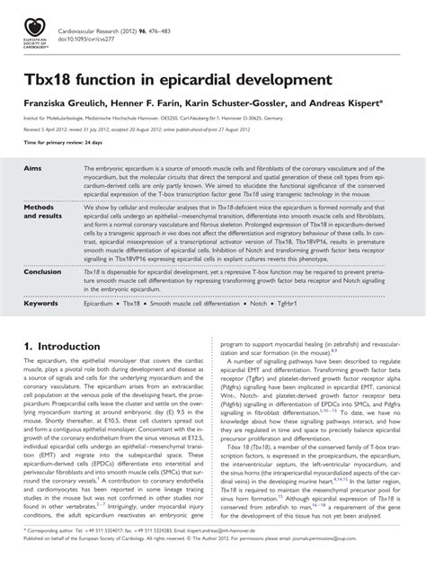 Pdf Tbx18 Function In Epicardial Development