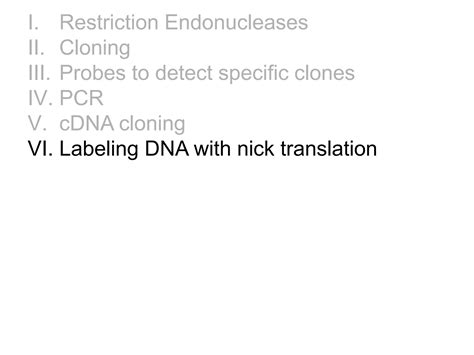 Chapter4hunt Molecular Cloning Methodsppt
